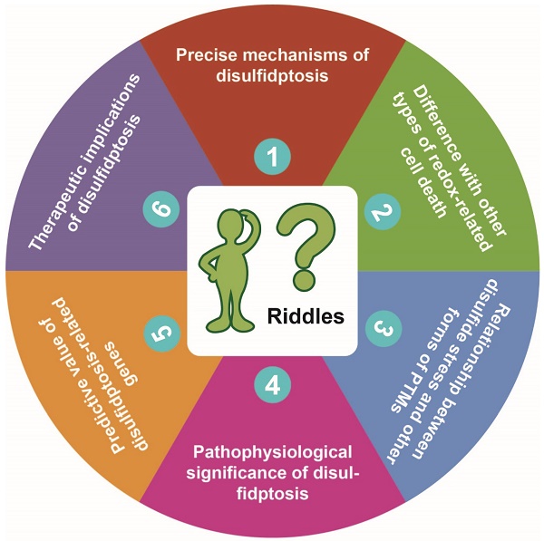 Volume 20, Issue 3 - ijbs