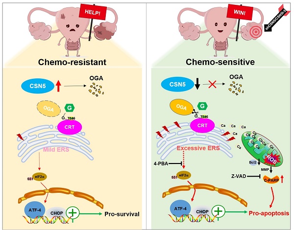 Volume 20, Issue 4 - ijbs