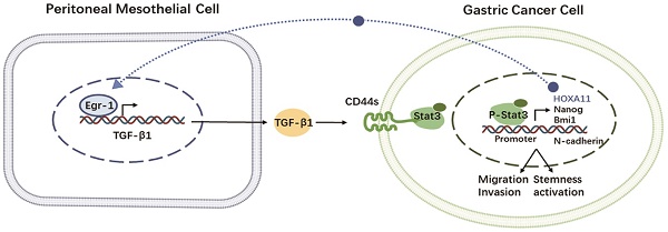 Volume 20, Issue 4 - ijbs